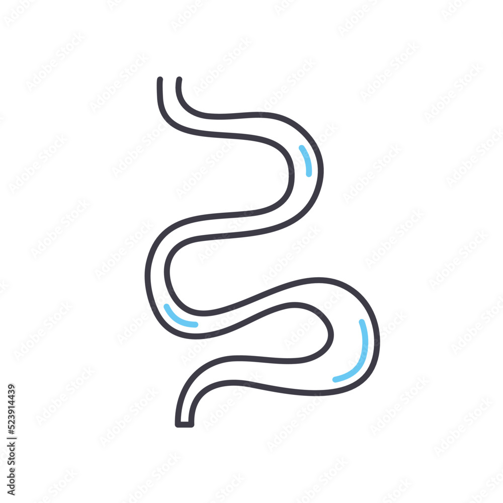 small intenstine line icon, outline symbol, vector illustration ...