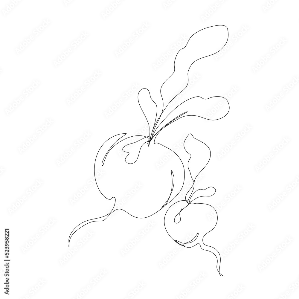 Radish vegetable in continuous line art drawing style. Radish plant ...