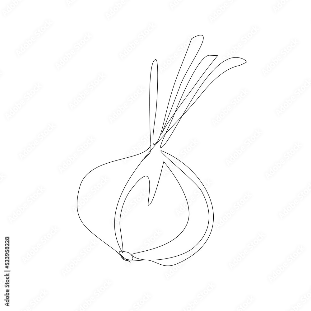 Onion Plant Line Drawing