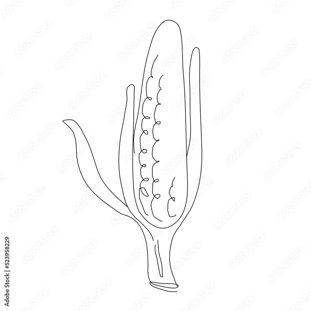 Corn Line Drawing