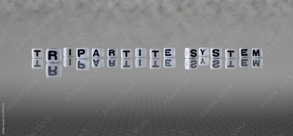 tripartite system word or concept represented by black and white letter ...