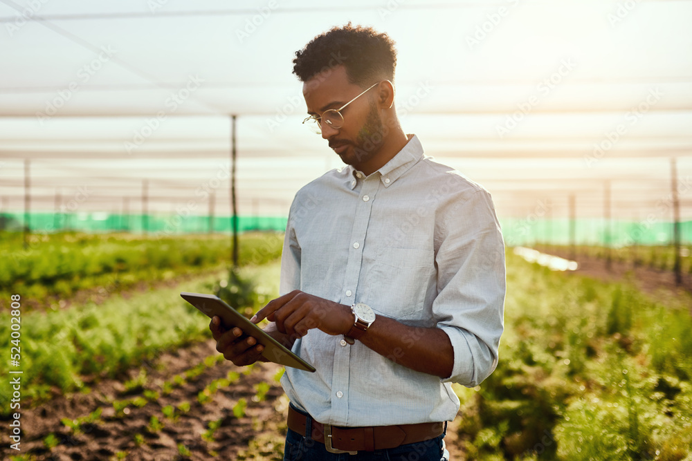 Male farmer planning online strategy on a tablet looking at farm growth ...