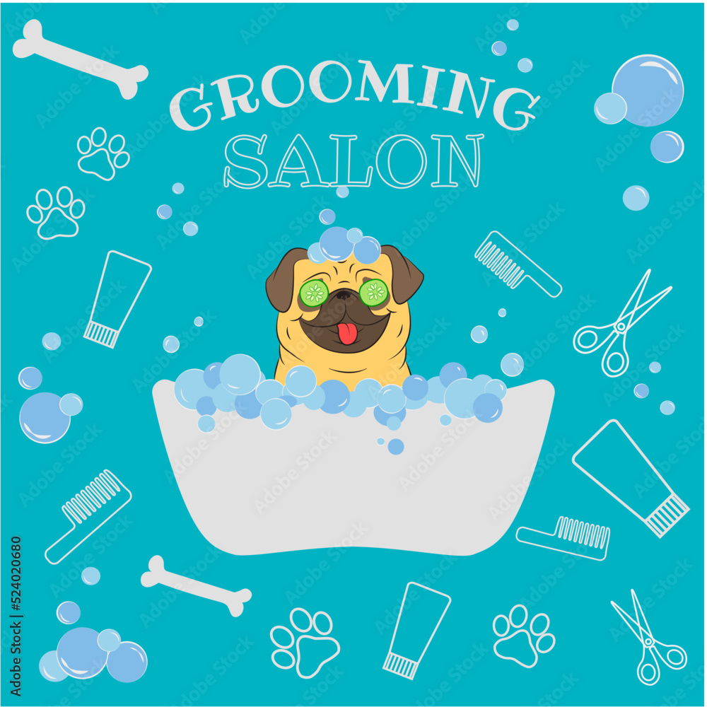 Grooming salon. Funny dog, the dog takes a shower with shampoo. The pug ...