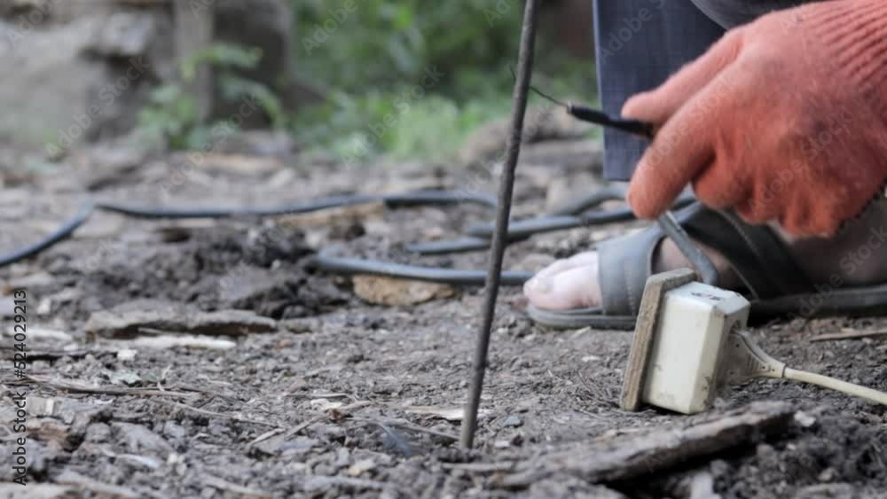 Extraction of worms by electric current, at 220 volts. Dig up or lure ...