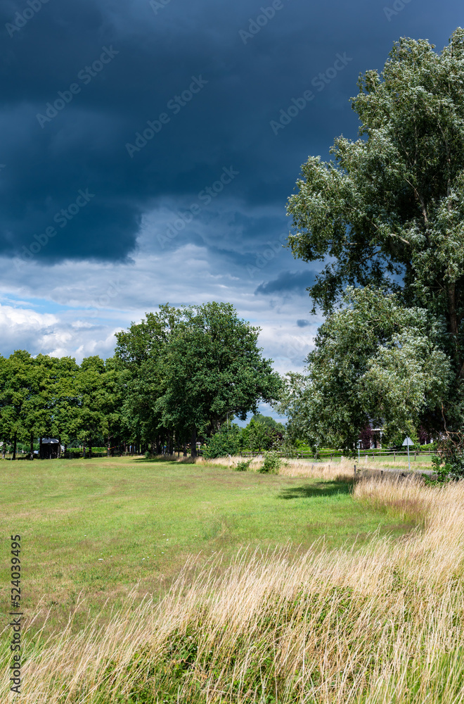 Zwolle, Overijssel, The Netherlands, Grass, trees and dark blue clouds ...