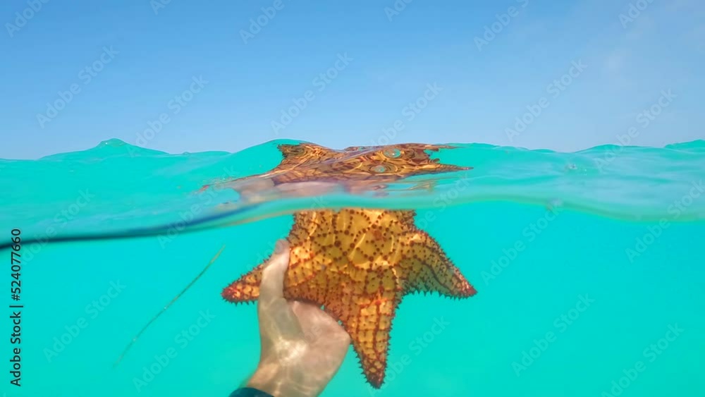 Split shot of a an azure tropical sea on Saona Island, Dominican ...