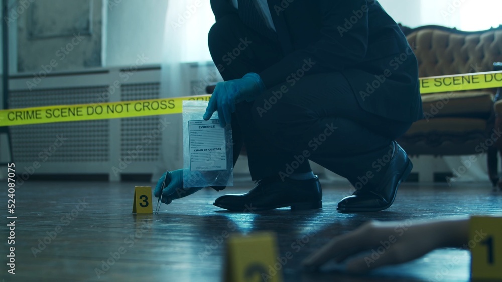 Detective Collecting Evidence in a Crime Scene. Forensic Specialists ...