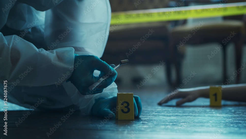 Detective Collecting Evidence in a Crime Scene. Forensic Specialists ...