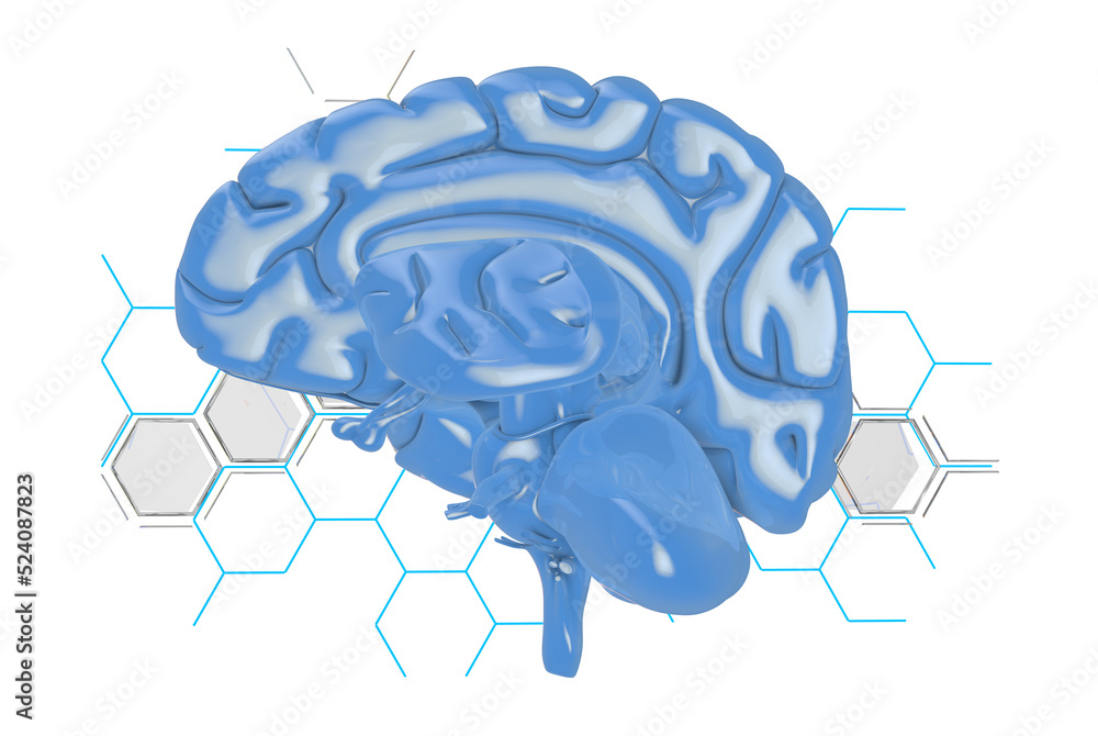 Human brain activity with plexus lines.. External cerebral connections ...