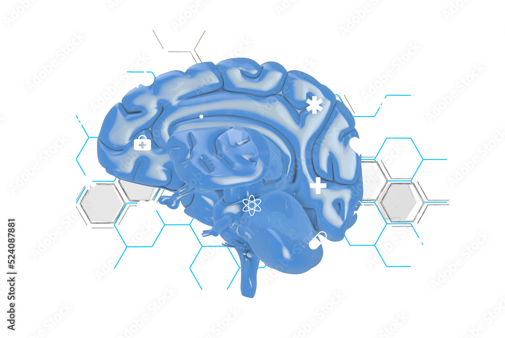 Human brain activity with plexus lines.. External cerebral connections ...