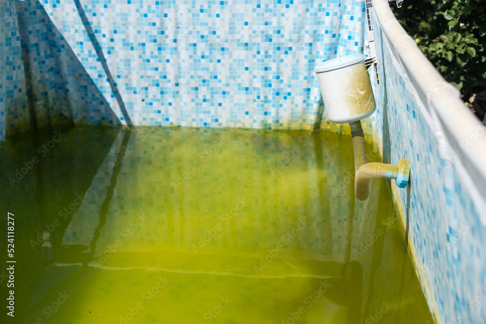 a very dirty pool in the garden Stock Photo | Adobe Stock