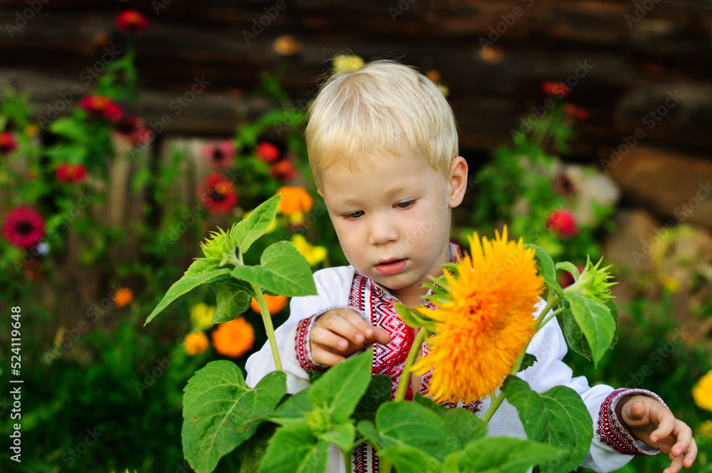 Children of Ukraine. Ukrainian symbols. little boy in embroidered ...