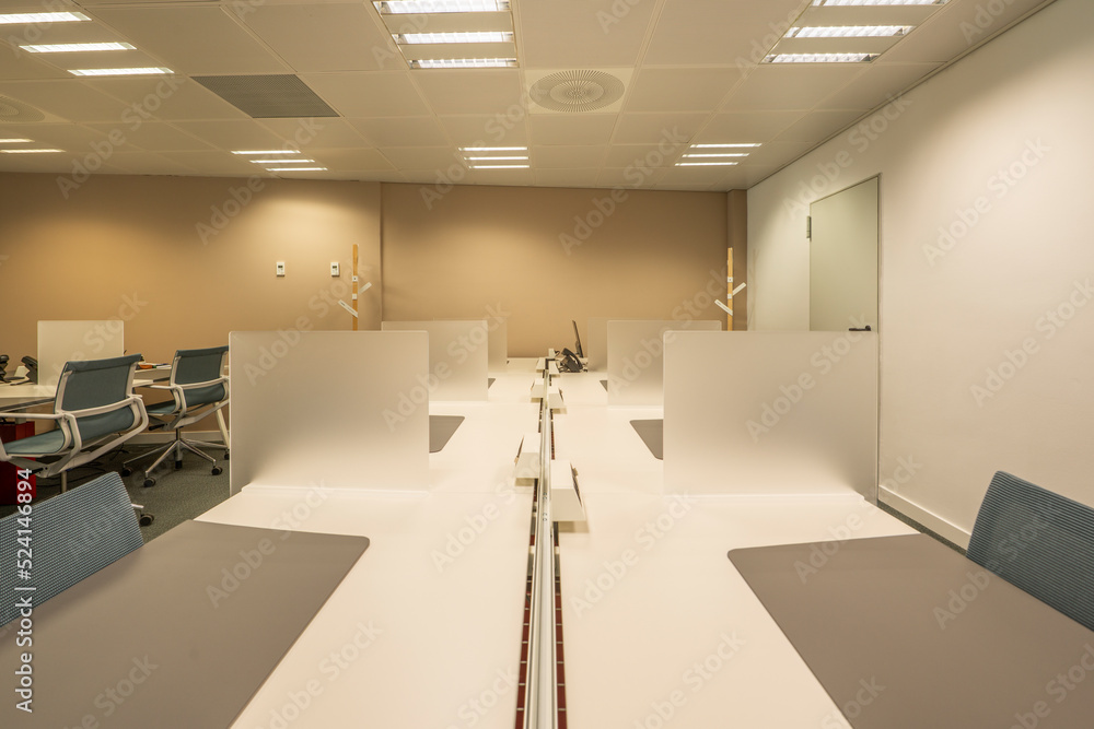 Cubicles in coworking office with table dividers, cable rails, carpet ...