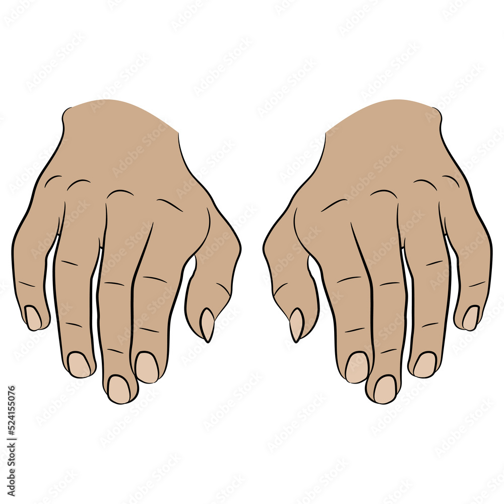 Front view of two human hands in typing position. Cartoon style. Stock ...