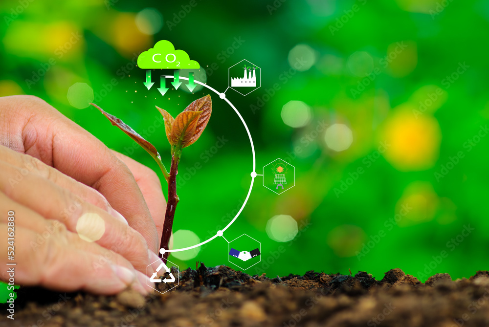CO2 reduction concept. Hand planting trees with environmental icons ...