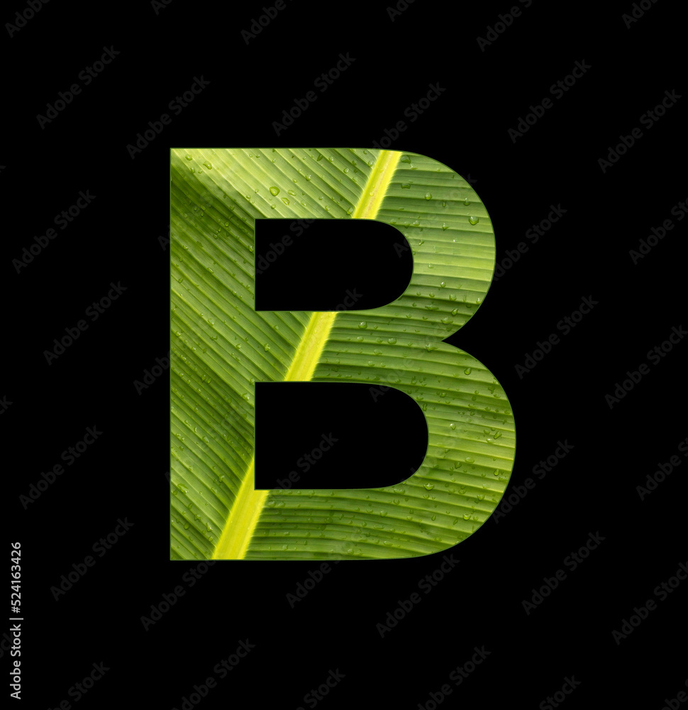 Alphabet Letter B - Banana plant leaf background Stock Photo | Adobe Stock