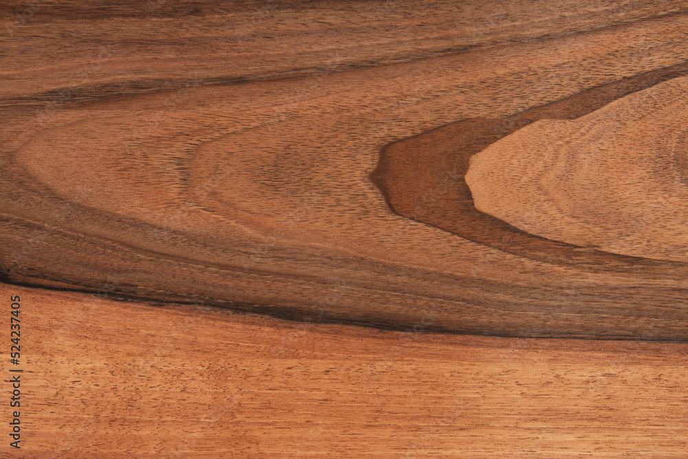 wood texture of different types of wood Stock Photo | Adobe Stock