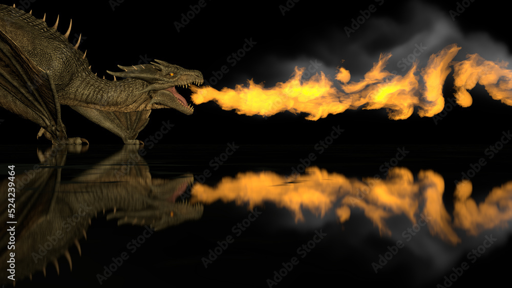 Realistic dragon breathes fire on a black background on a reflective ...