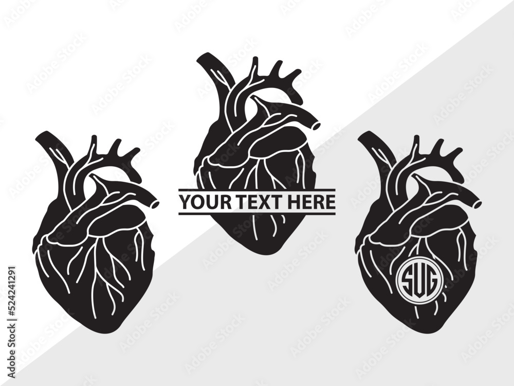 Human Heart Monogram SVG | Heart Svg | Realistic Heart Svg | Anatomical ...