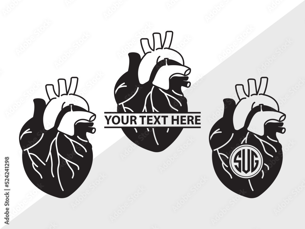 Human Heart Monogram SVG | Heart Svg | Realistic Heart Svg | Anatomical ...