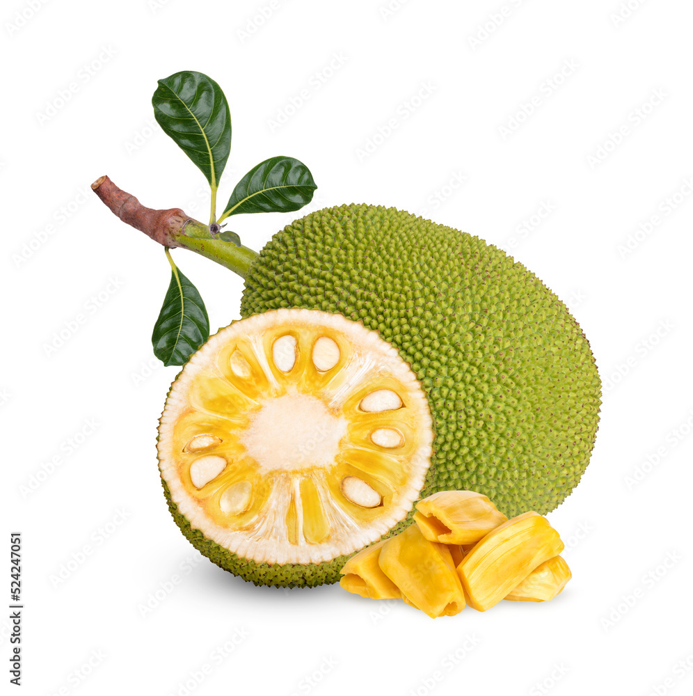 Ripe Jackfruit isolated on transparent background (.PNG) Stock Photo | Adobe Stock
