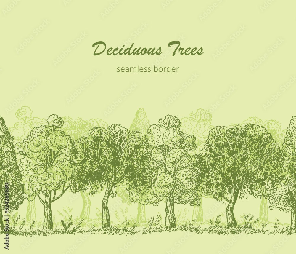 Deciduous Trees Horizontal Seamless Border. Hand Drawn Tree Sketch. Ink ...