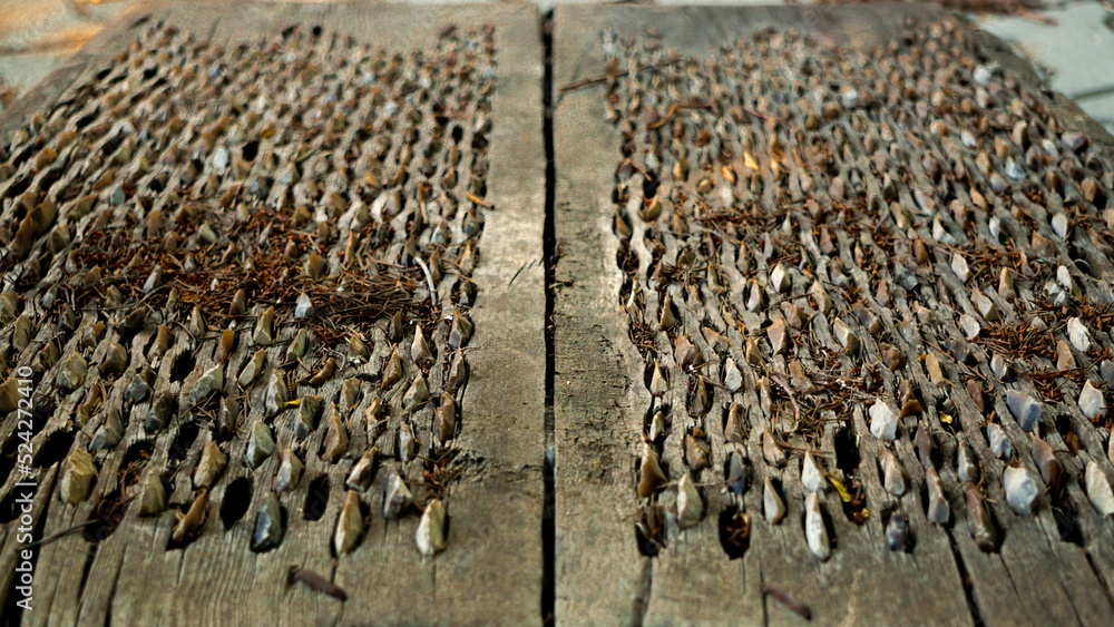 Vintage handmade agricultural thresher close up view made with wood and ...