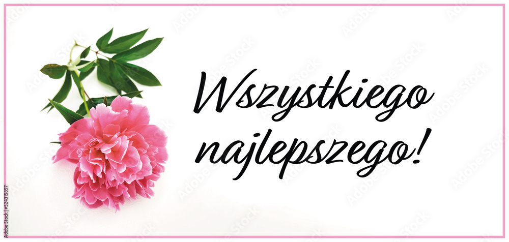 Wszystkiego najlepszego! kartka Stock Illustration | Adobe Stock