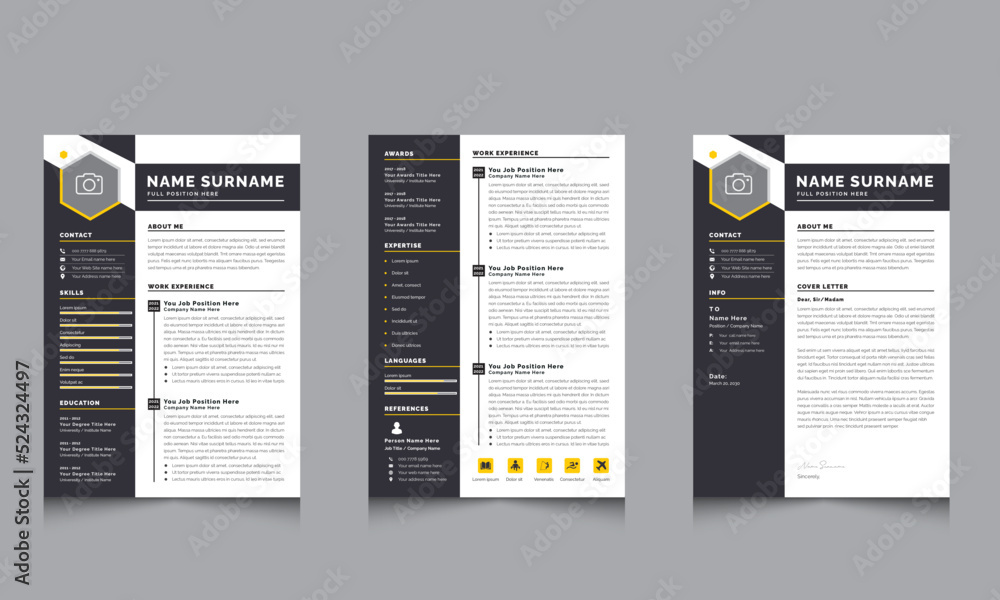 Professional Resume Template cv design with line vector Black color ...