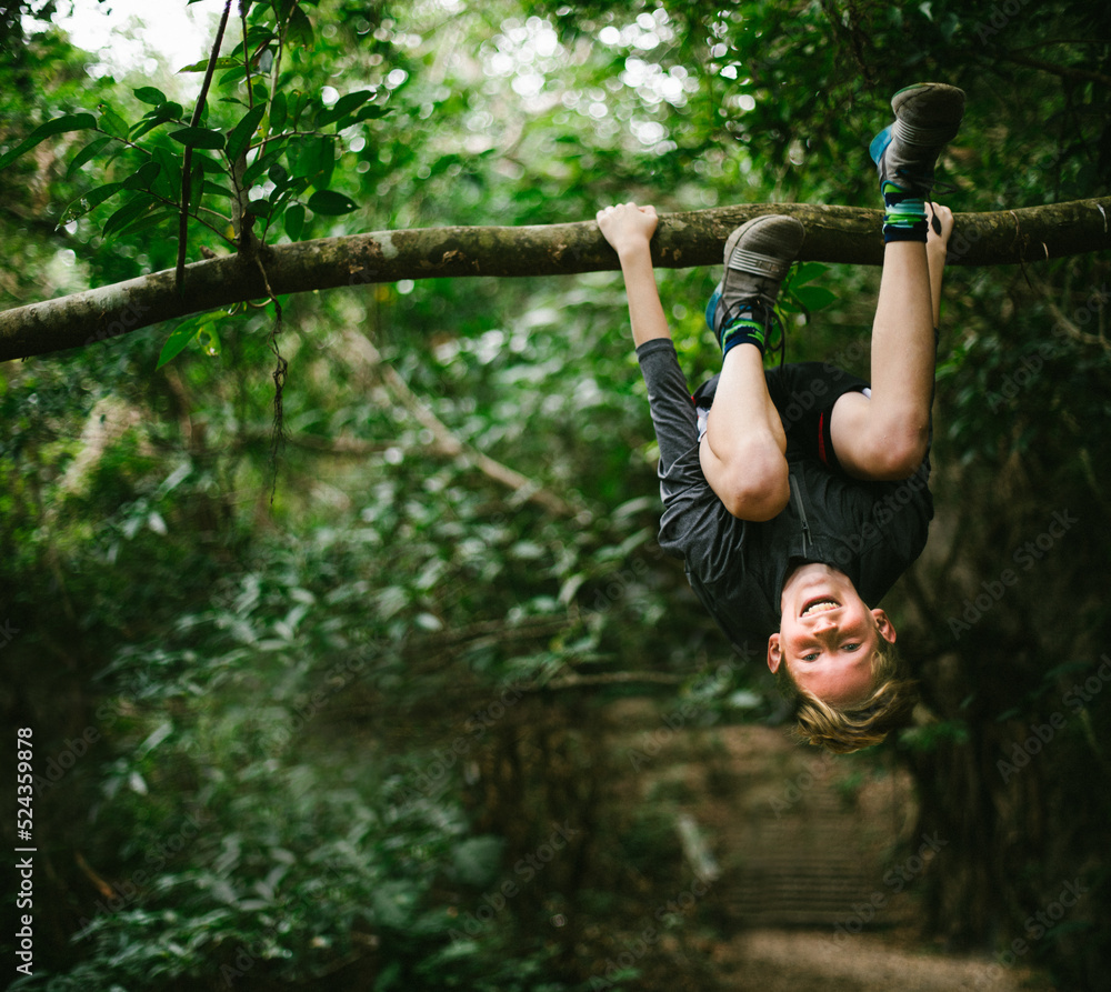 Tween boy climbing a tree with a smile from tree branch in forest Stock ...