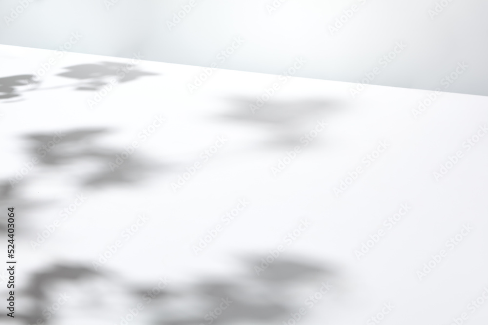 Light background with harsh shadows of tree branch. Aesthetic white ...