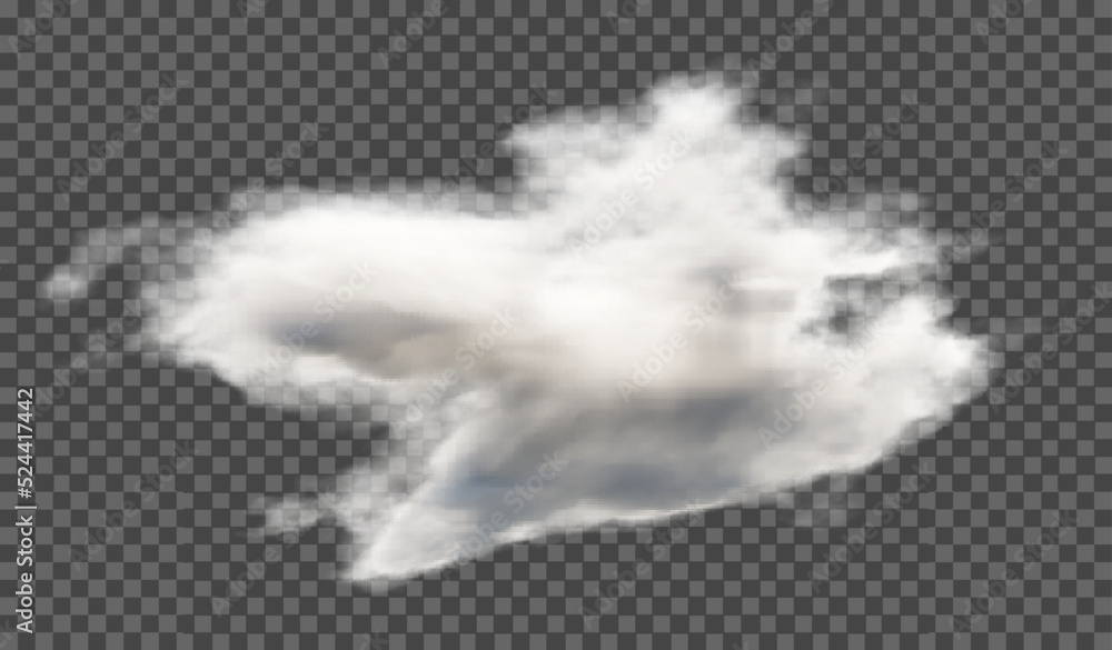 Vector illustration. Fluffy cloud or haze on a transparent background ...