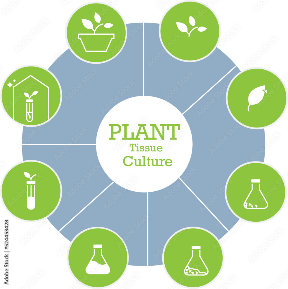 tissue culture Stock Vector | Adobe Stock
