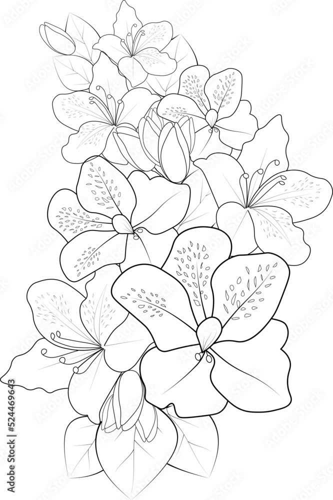 isolated Flower zentangle art easy sketches with decorative doodle ...