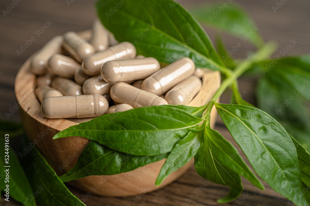 Andrographis paniculata or Kariyat leaf plant with herb capsules to ...