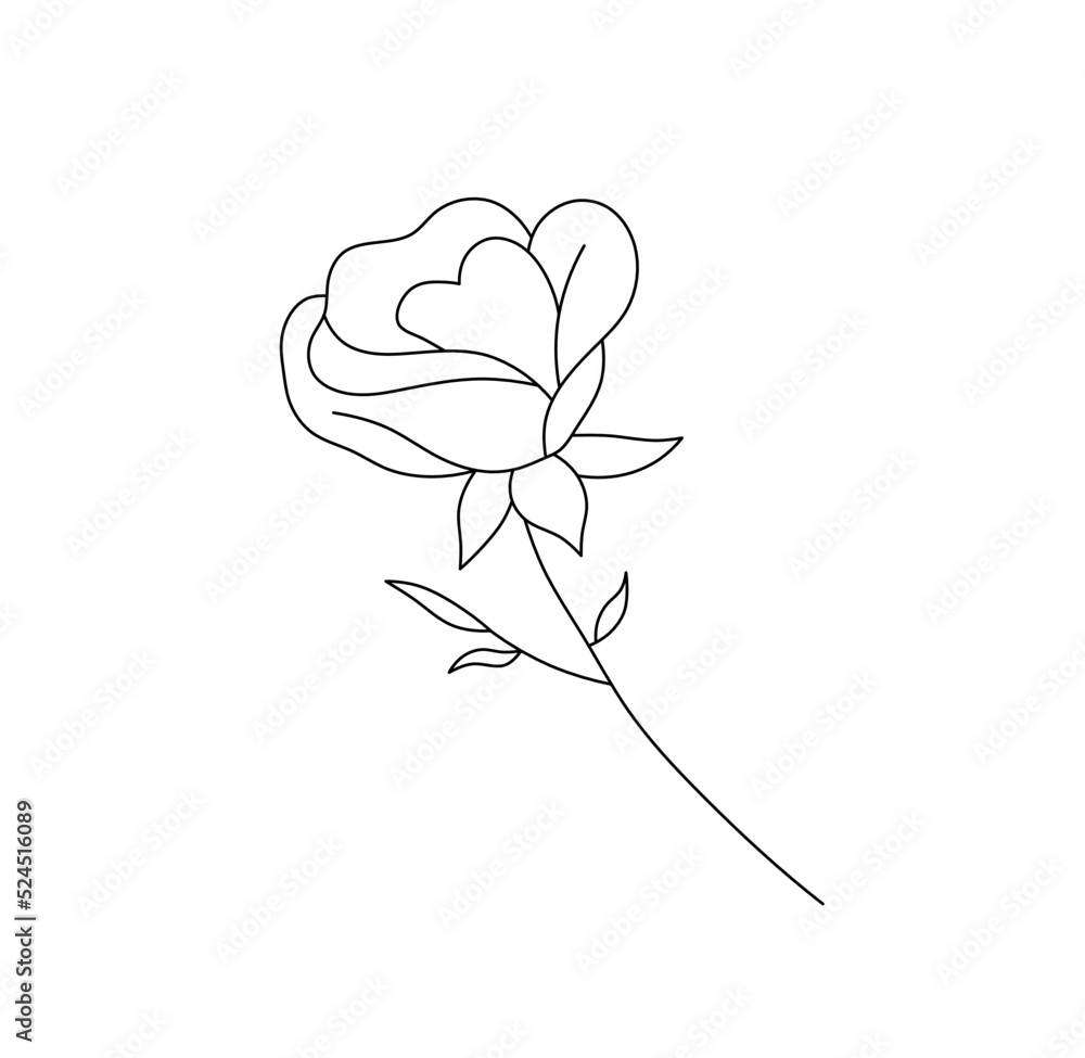 Vector isolated one vertical rose with long stem colorless black and ...