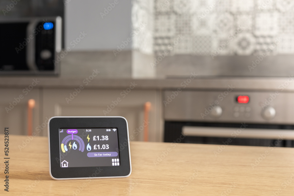 Smart energy meter. Checking domestic electricity and gas use. Smart ...