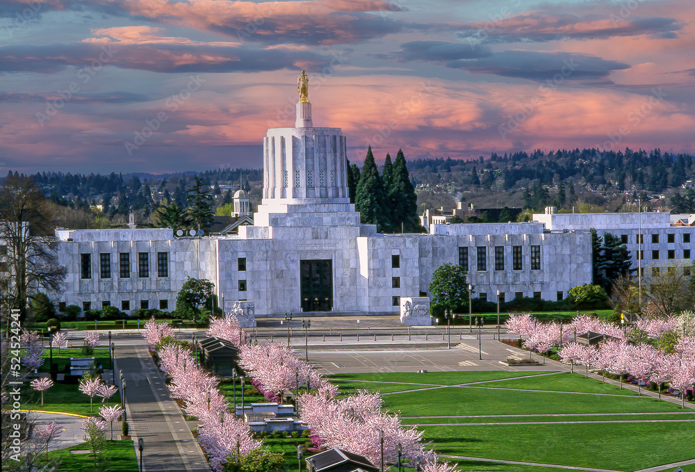 An aerial view of the Oregon State Capitol building with flowering ...