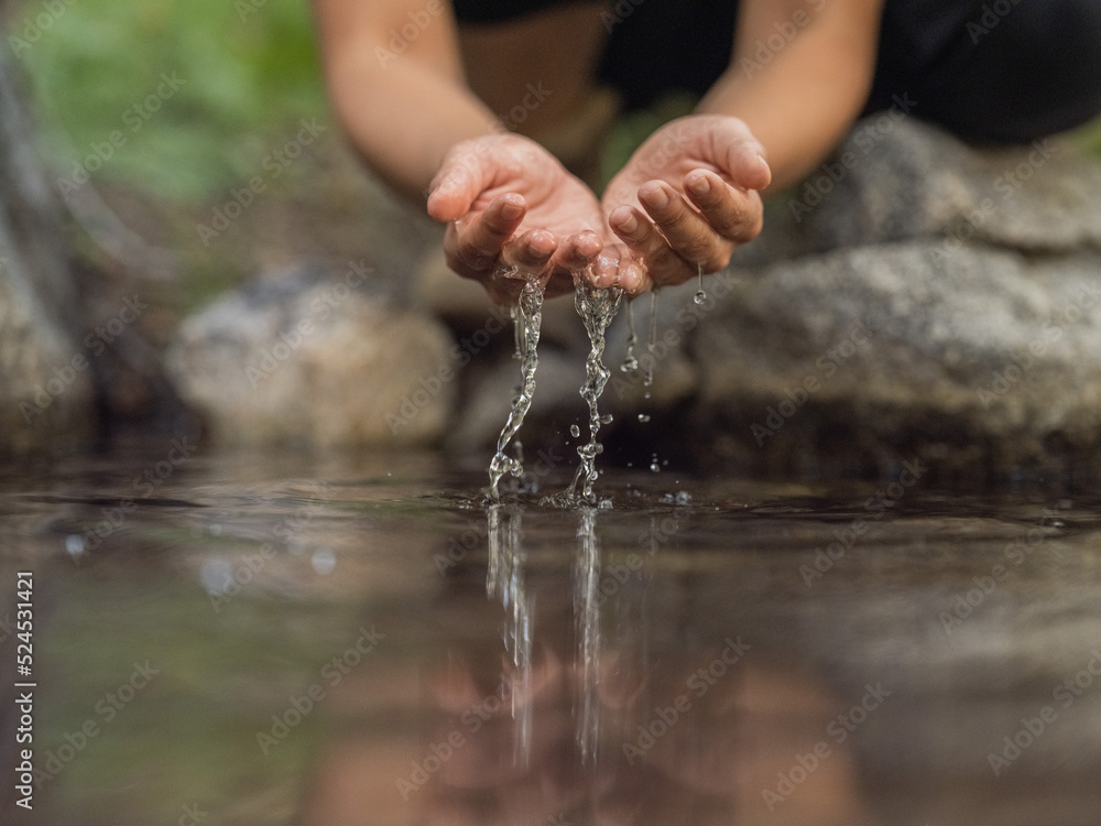 Close-up image of hands cupping water from a stream in a forest Stock ...