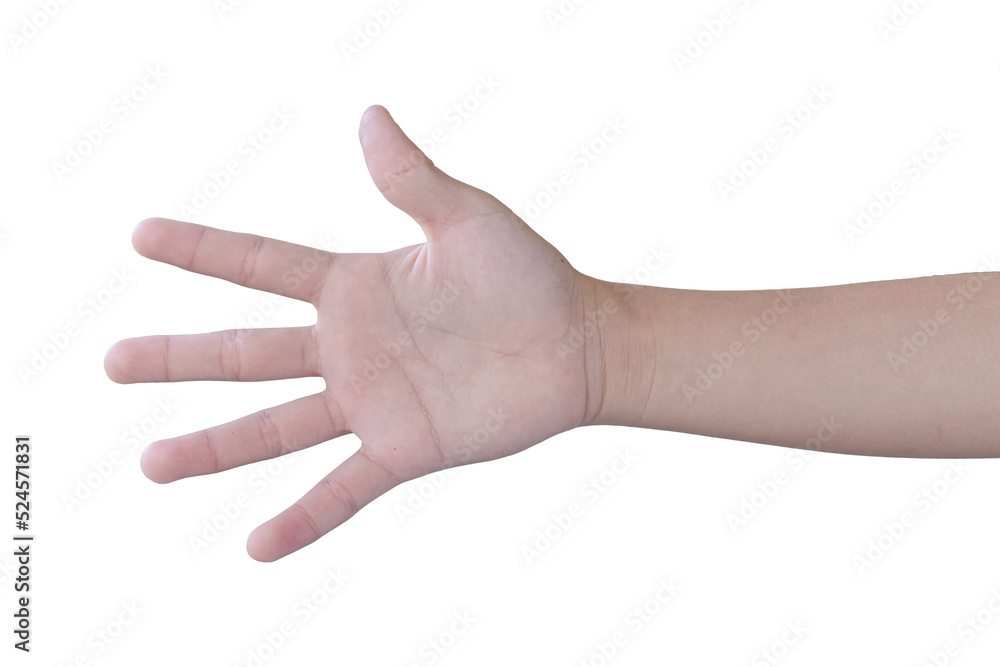 Child hand gesture Isolated on transparent background - PNG format ...