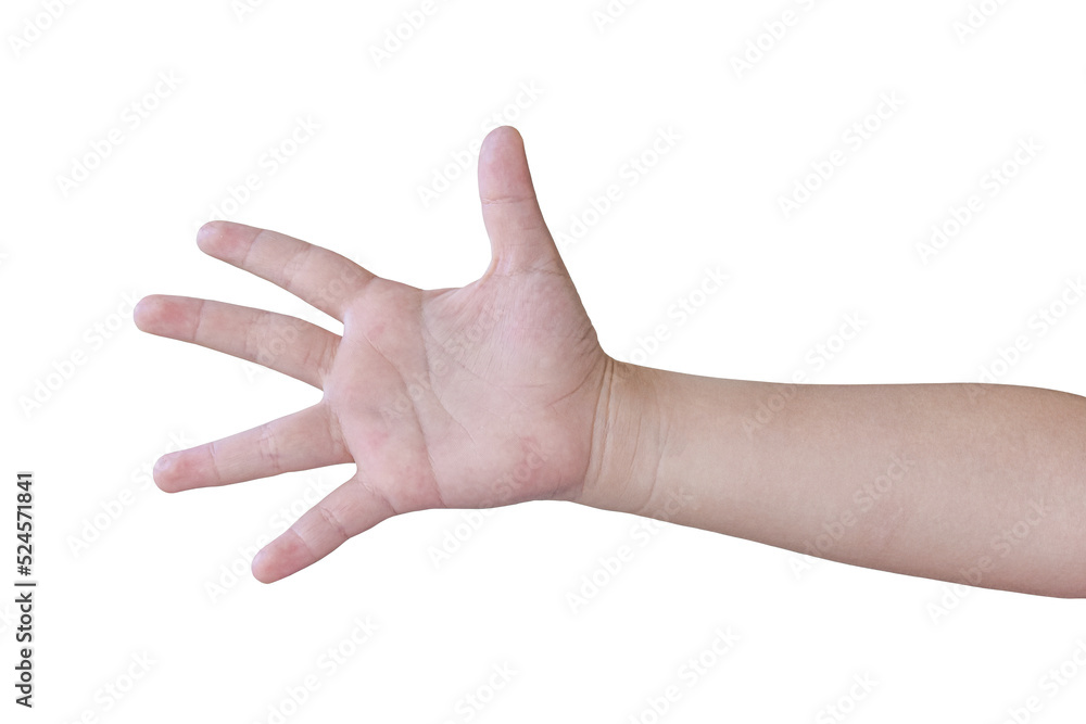 Child hand gesture Isolated on transparent background - PNG format ...