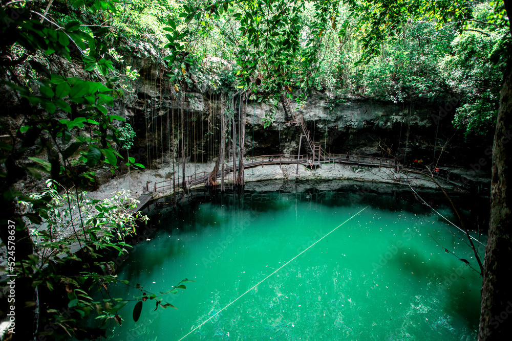 A view from the inside of X'Canche Cenote which is one of the best ...