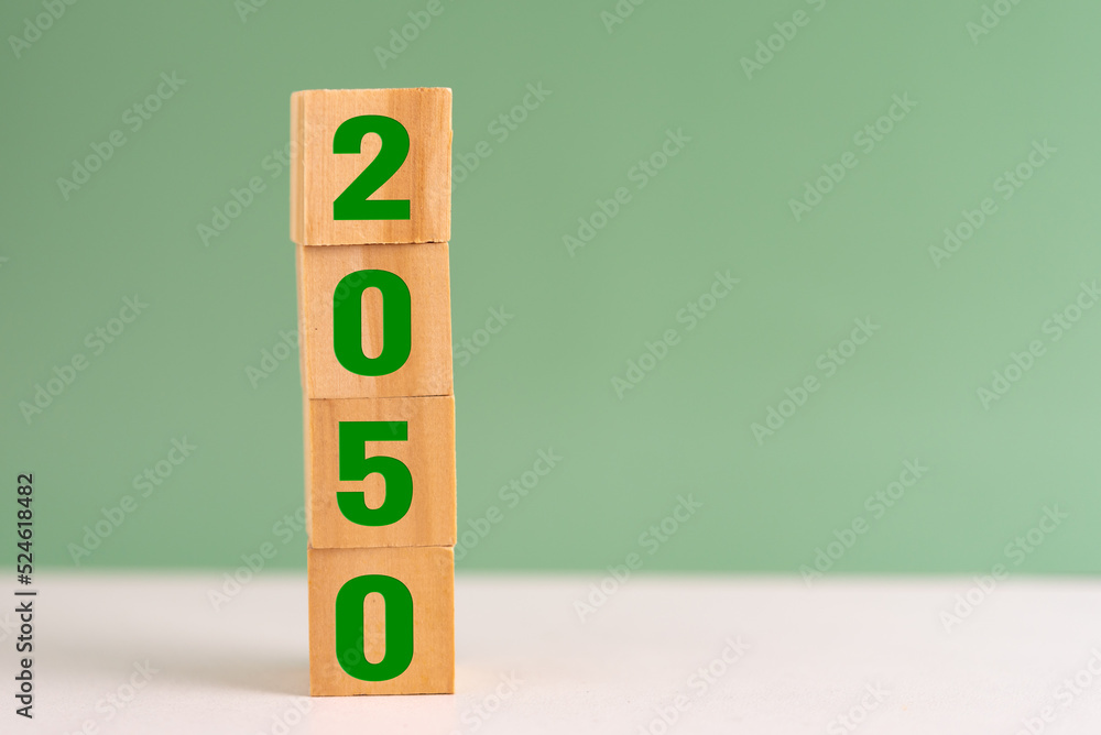 wood cube block net zero target 2050 environmental strategy economy and ...