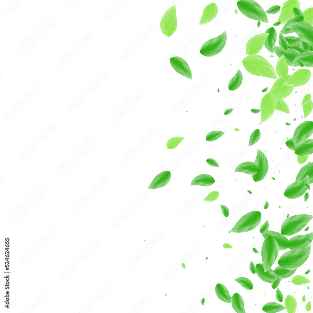 Greenish Sheet Background White Vector. Greenery Line Illustration ...