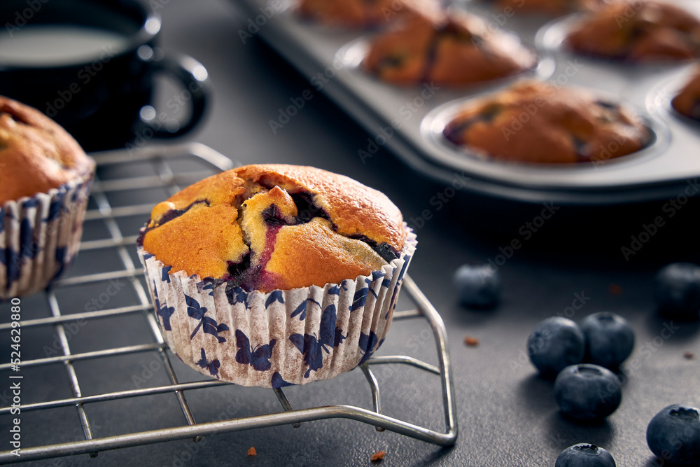 Muffin Stock Photo | Adobe Stock