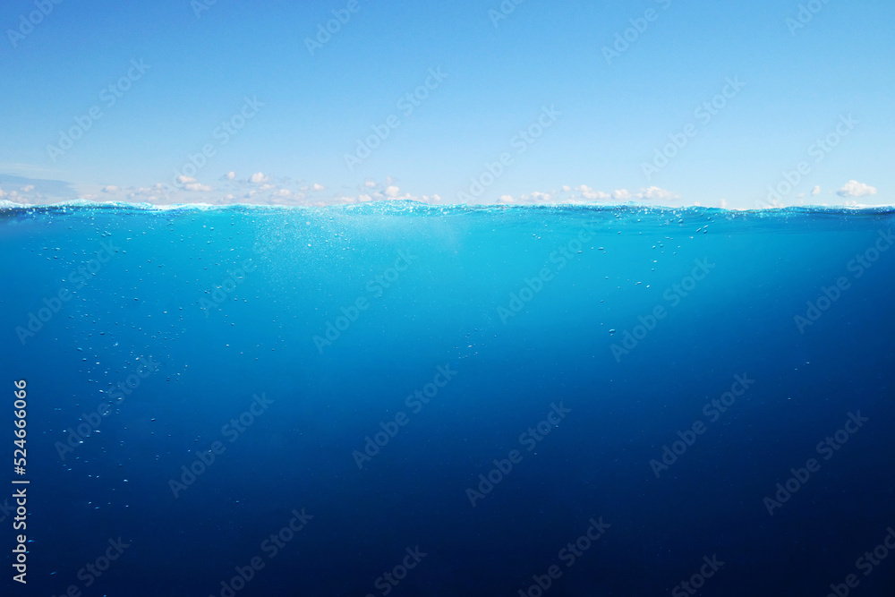 Amazing Deep Sea Pictures