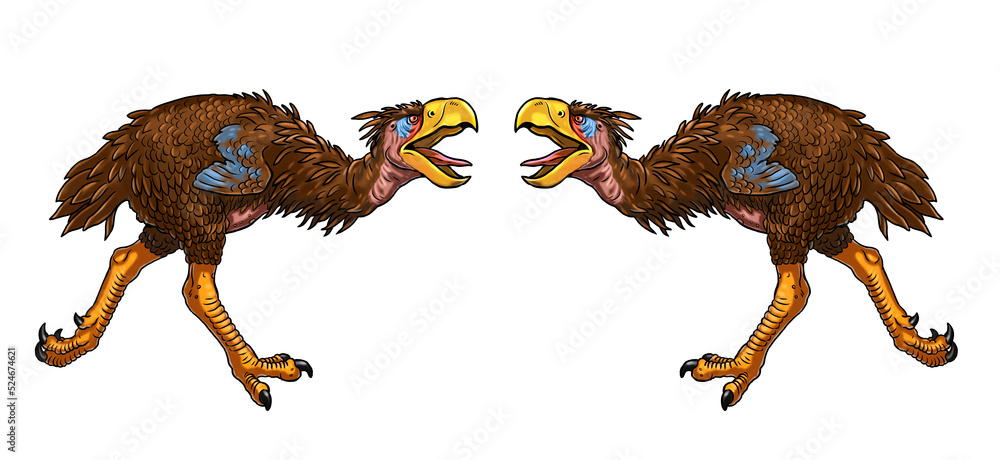 Prehistoric birds of prey - Titanis. Drawing with extinct predators ...