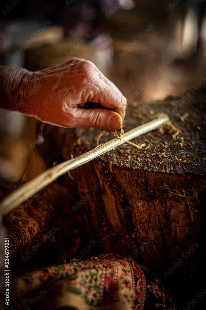 Raspação do Jagube, Medicina da Floresta Santo Daime, Ayahuasca Stock ...