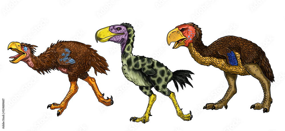 Prehistoric birds of prey. Kelenken, titanis and gastornis. Drawing ...