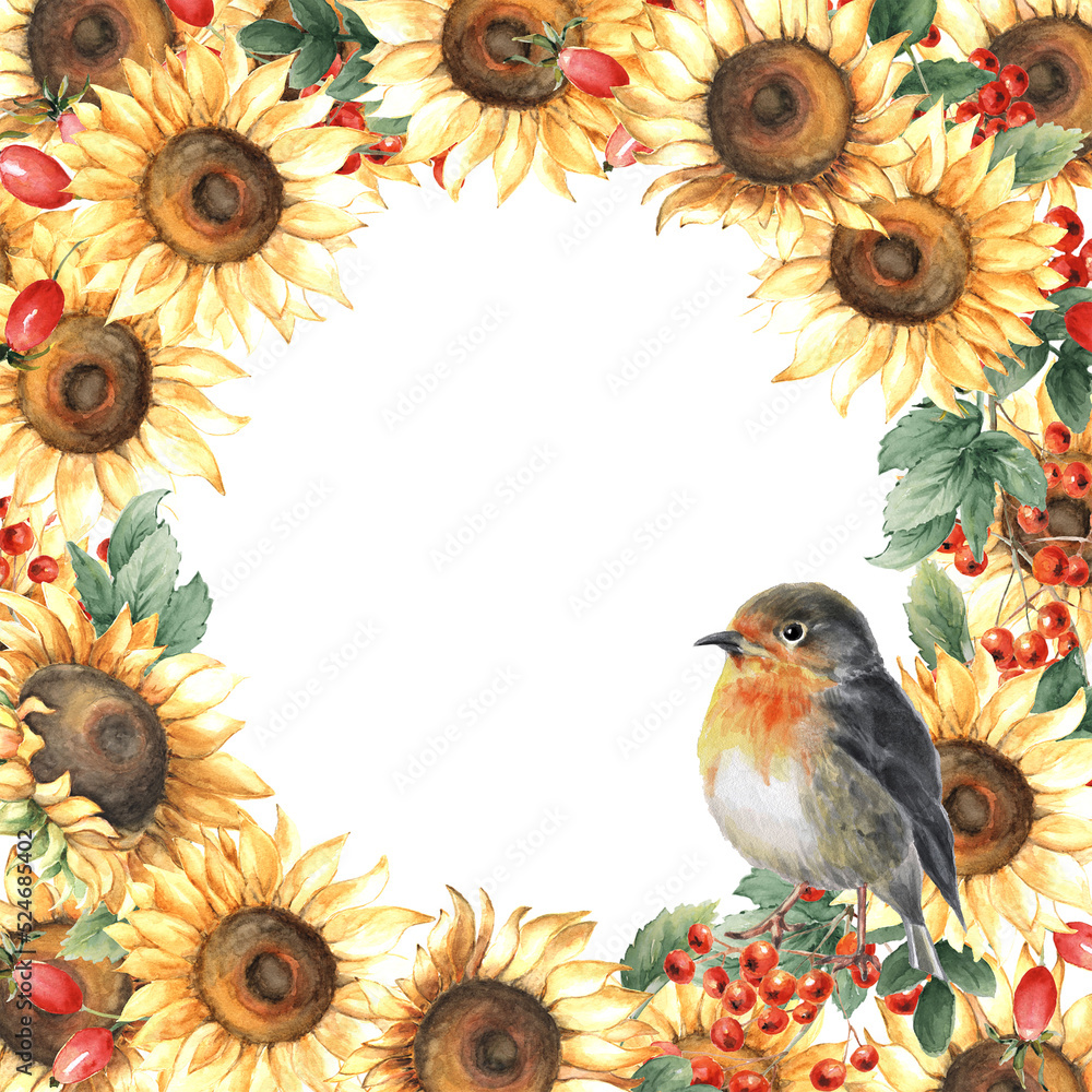 Watercolor fall frame of sunflowers with Robin bird Stock Illustration ...